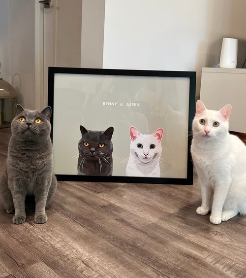 Modern Pet Portrait | Digital Pet Portraits | Crown & Paw