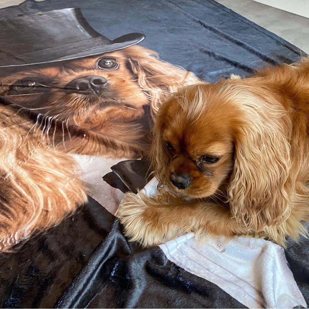 The Gentleman | Custom Pet Pet Blanket | Crown And Paw – Crown & Paw